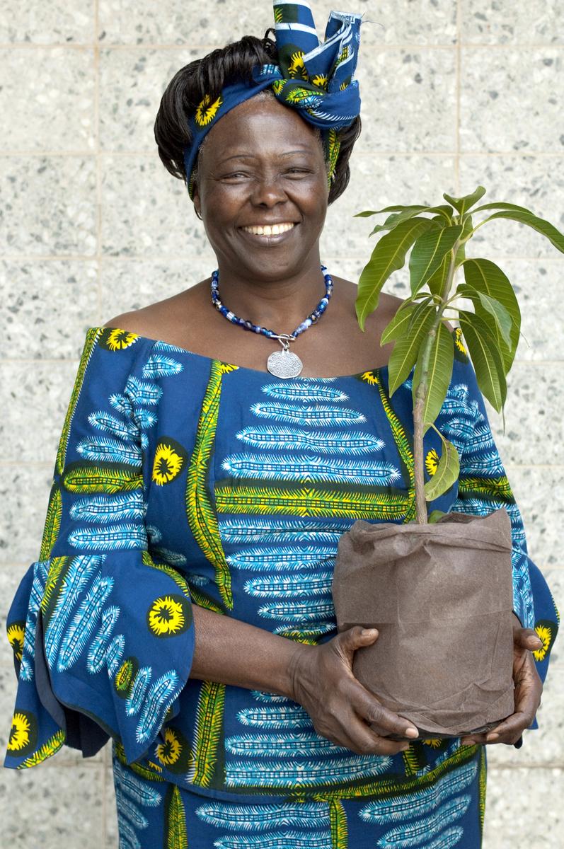 Mama Miti Wangari Maathai: Mother of Trees – Millennial Matriarchs