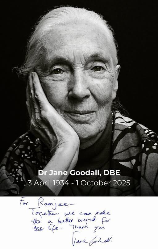 Jane Goodall: Teaching the World to Care – Millennial Matriarchs