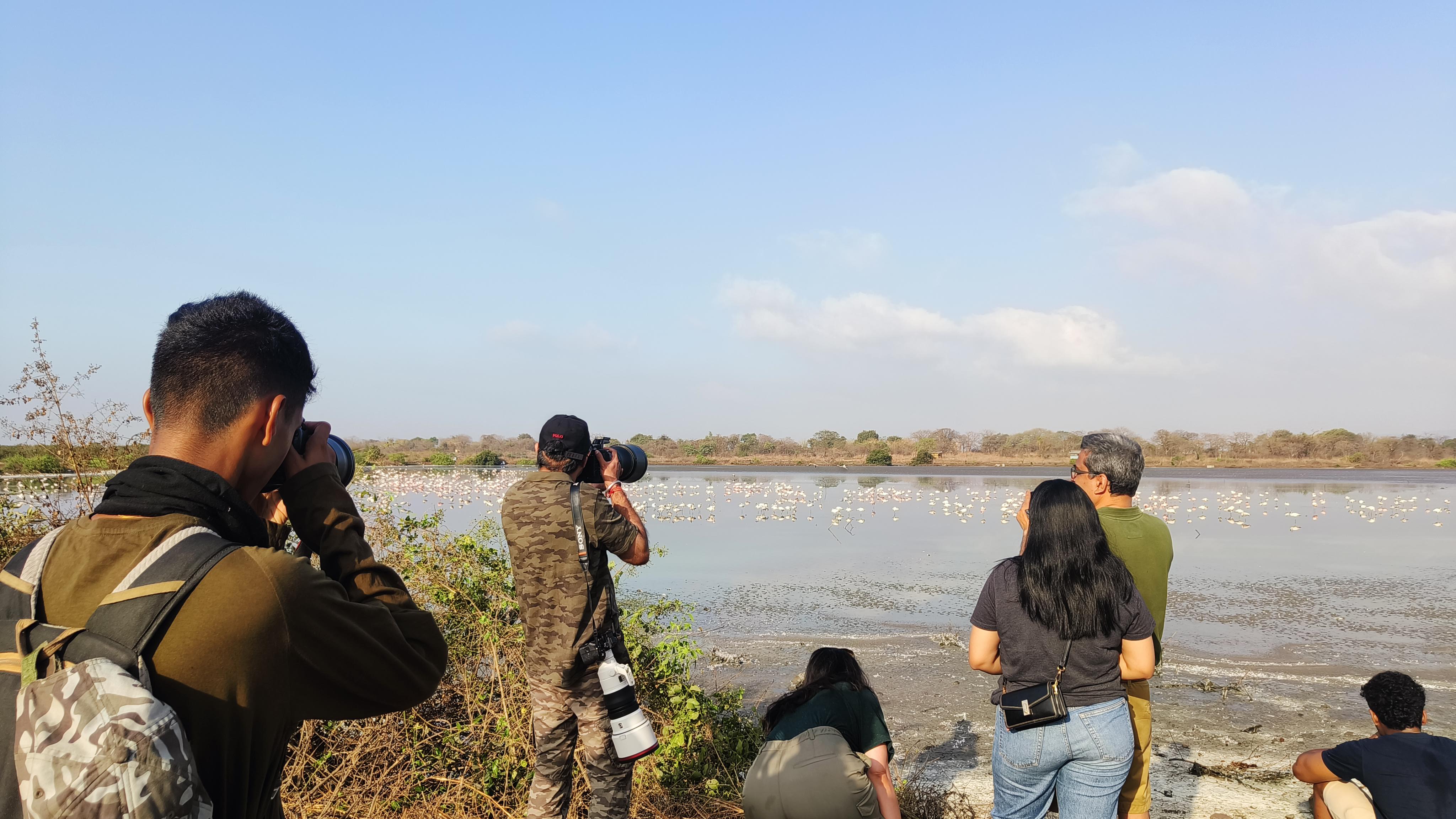 Of Birds and Birdwatchers: International Bird Day — 1 April ...